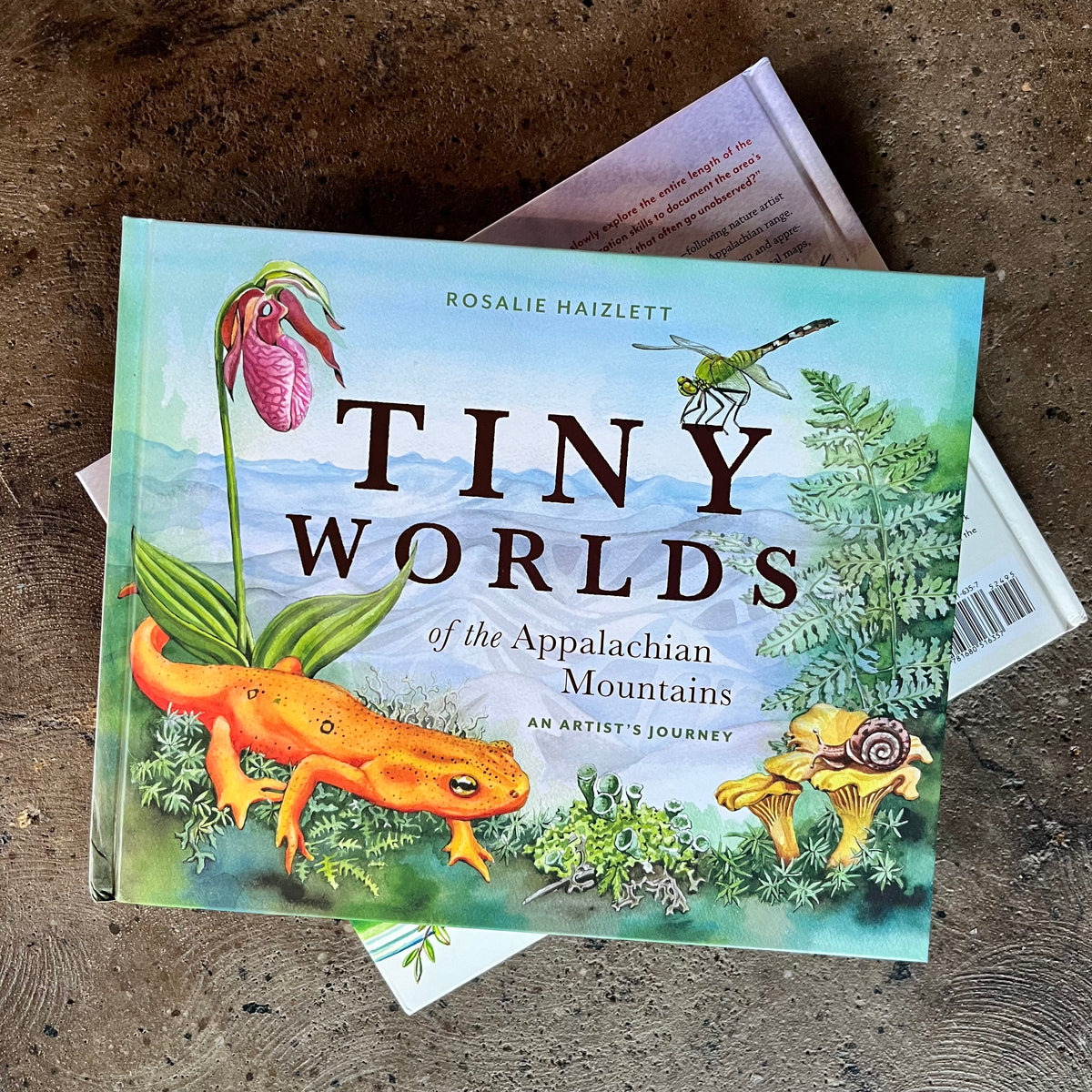 Tiny Worlds of the Appalachian Mountains: Rosalie Haizlett – Lost ...