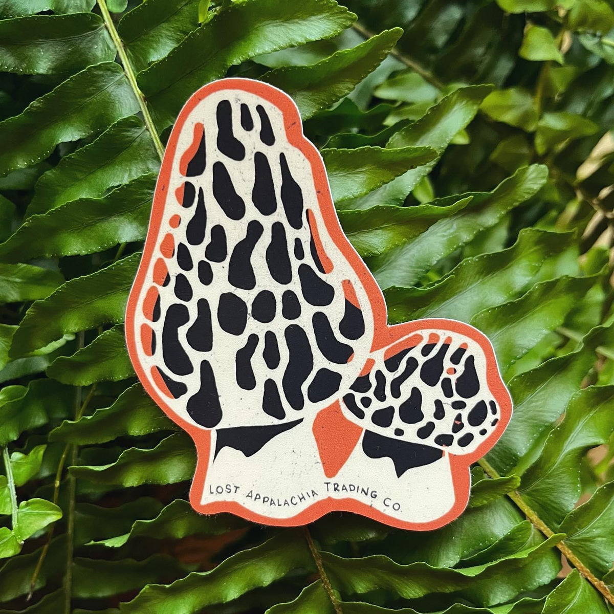Morel Sticker – Lost Appalachia Trading Company