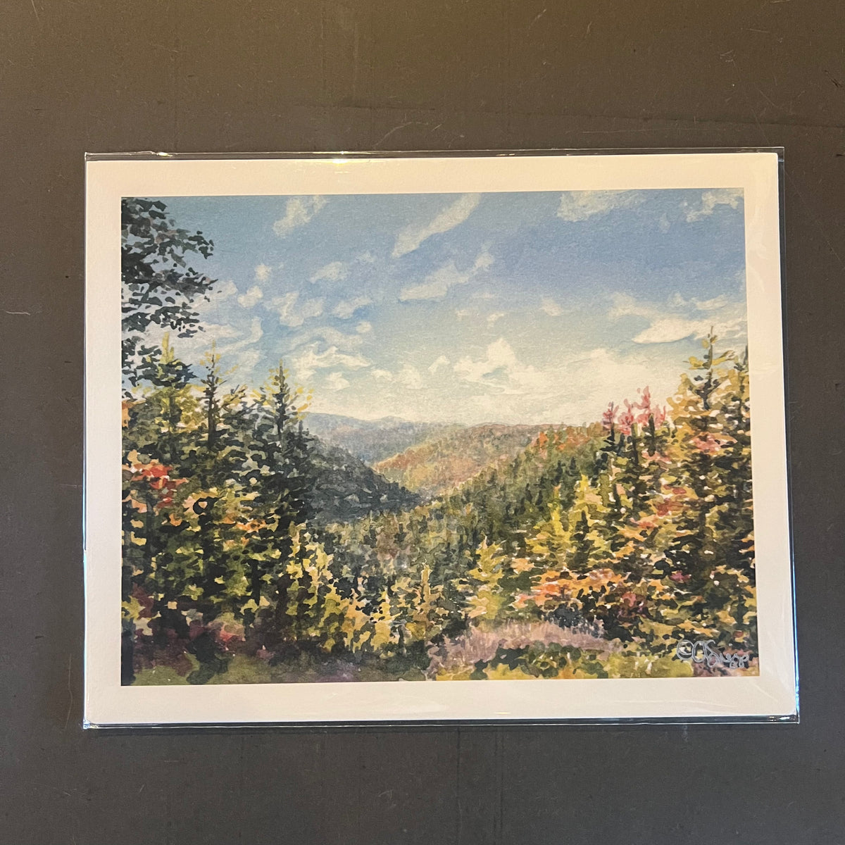 Overlook at Blackwater Falls - Octavia Spriggs – Lost Appalachia ...