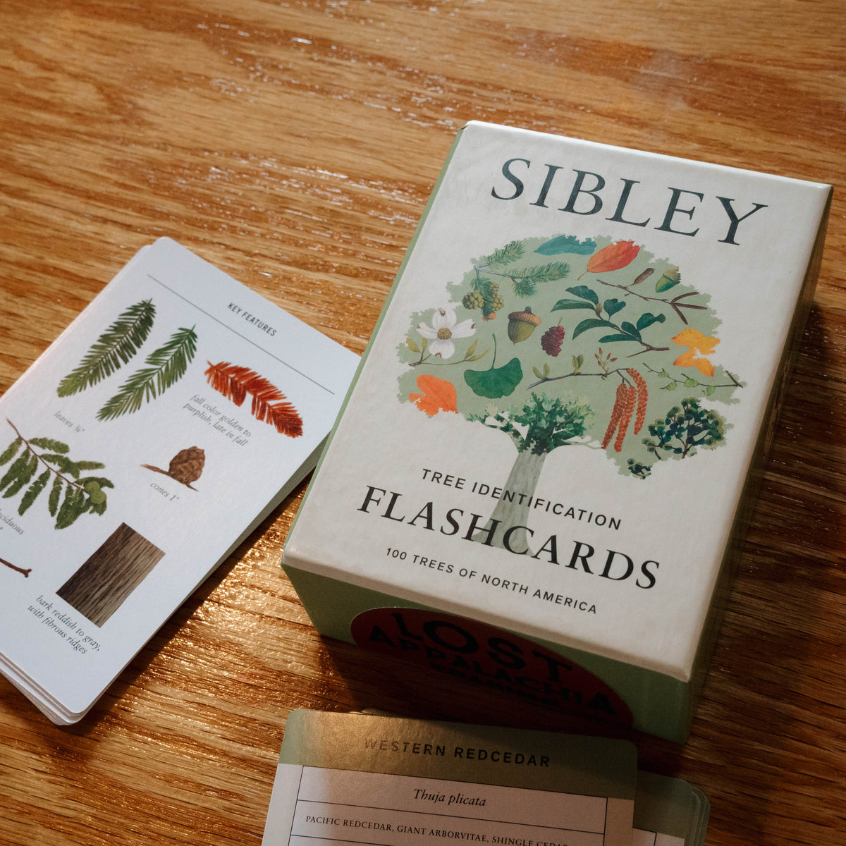 Tree Identification Flashcards - 100 Trees of North America – Lost ...