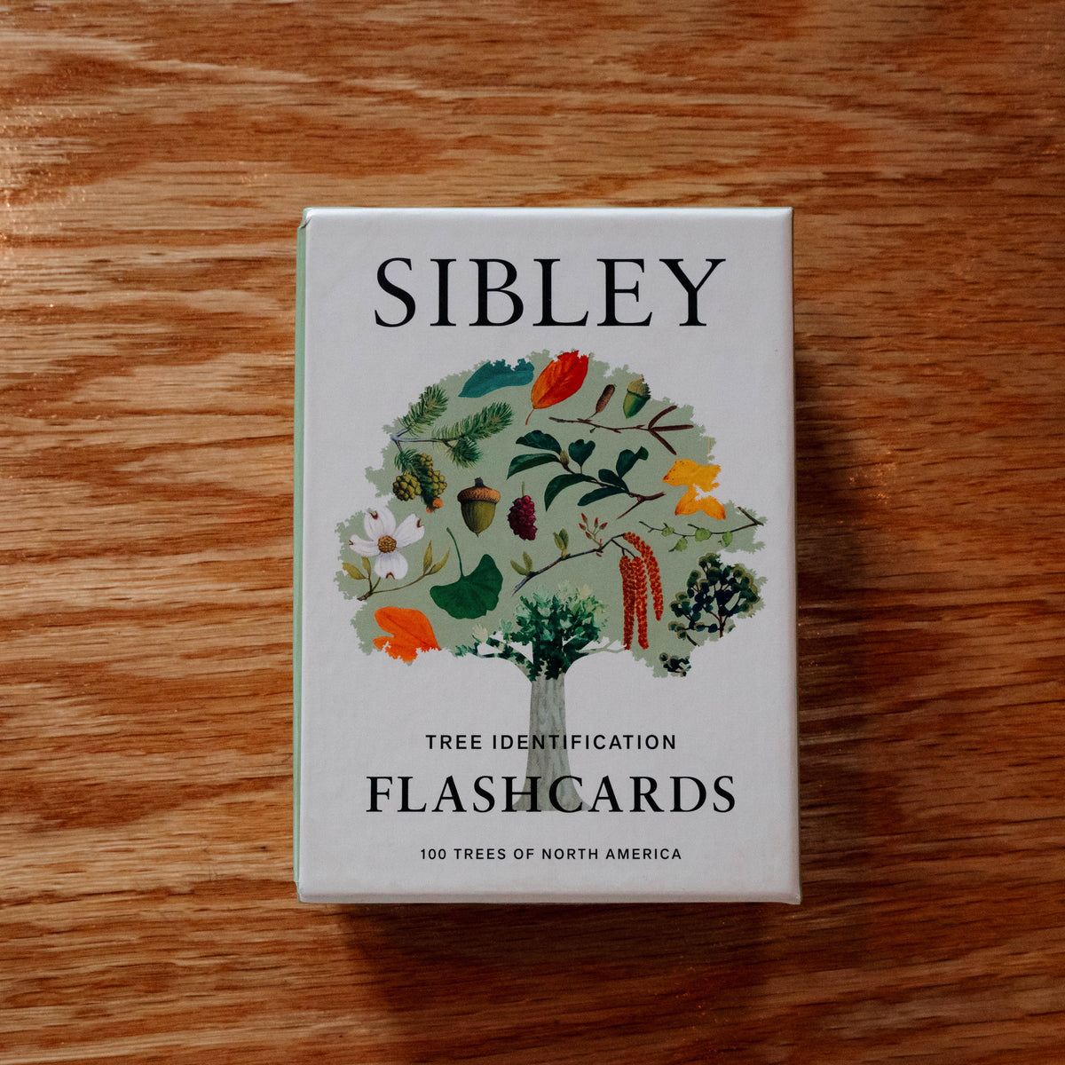 Tree Identification Flashcards - 100 Trees of North America – Lost ...