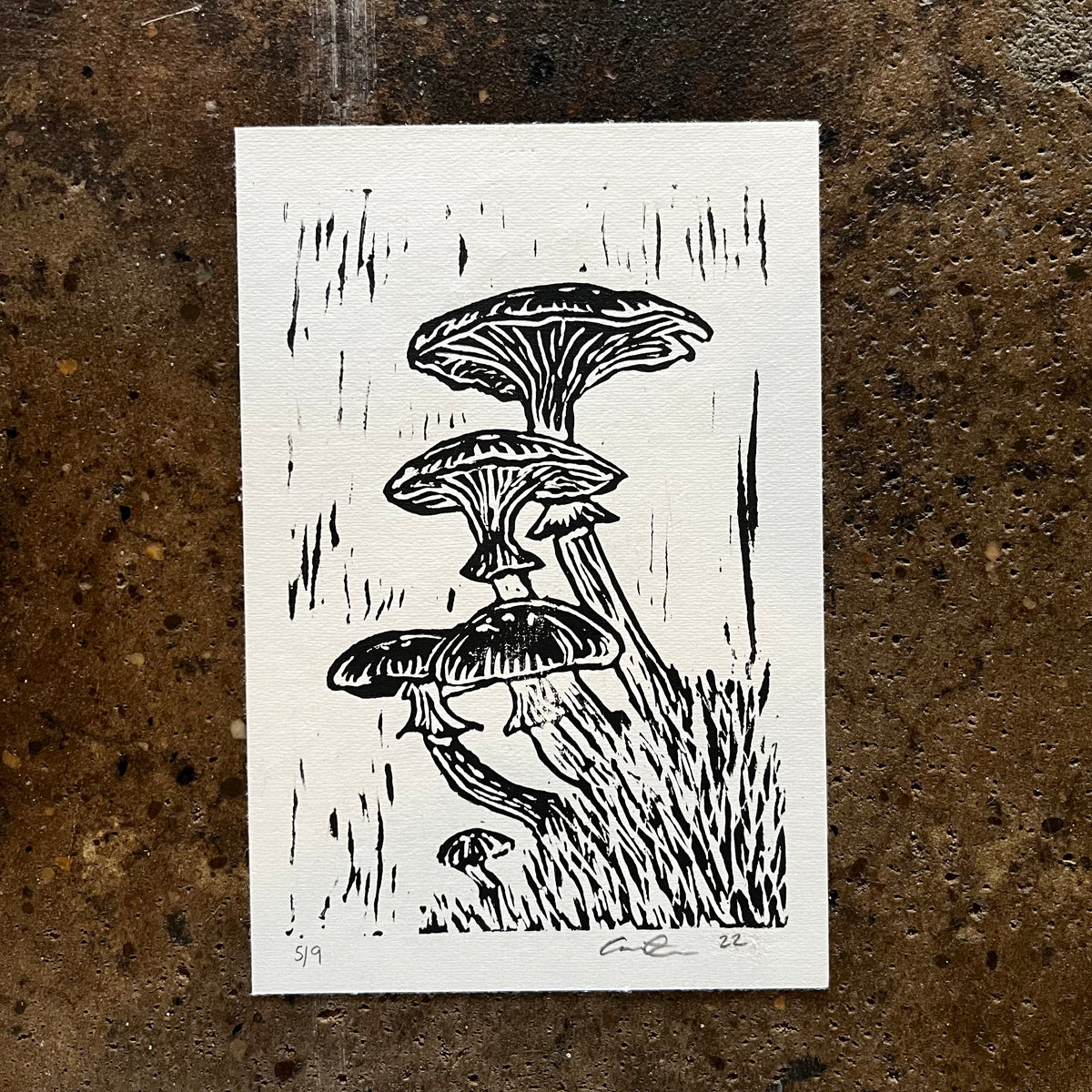 Mushrooms - Cat and Crow – Lost Appalachia Trading Company