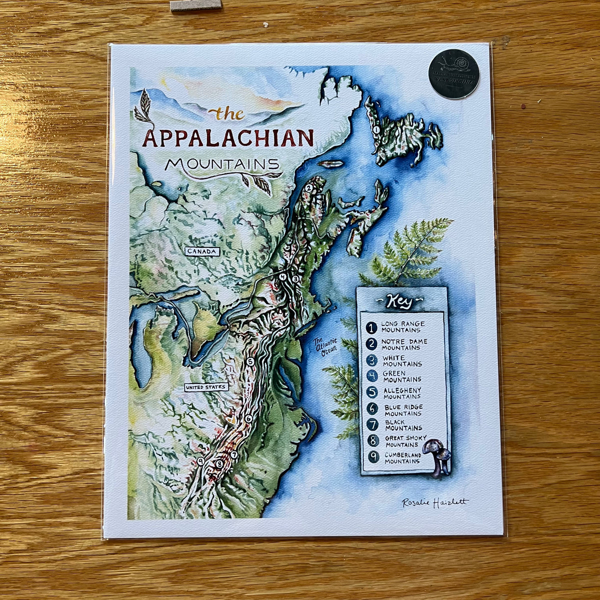 Appalachian Mountains Map - Rosalie Haizlett – Lost Appalachia Trading ...