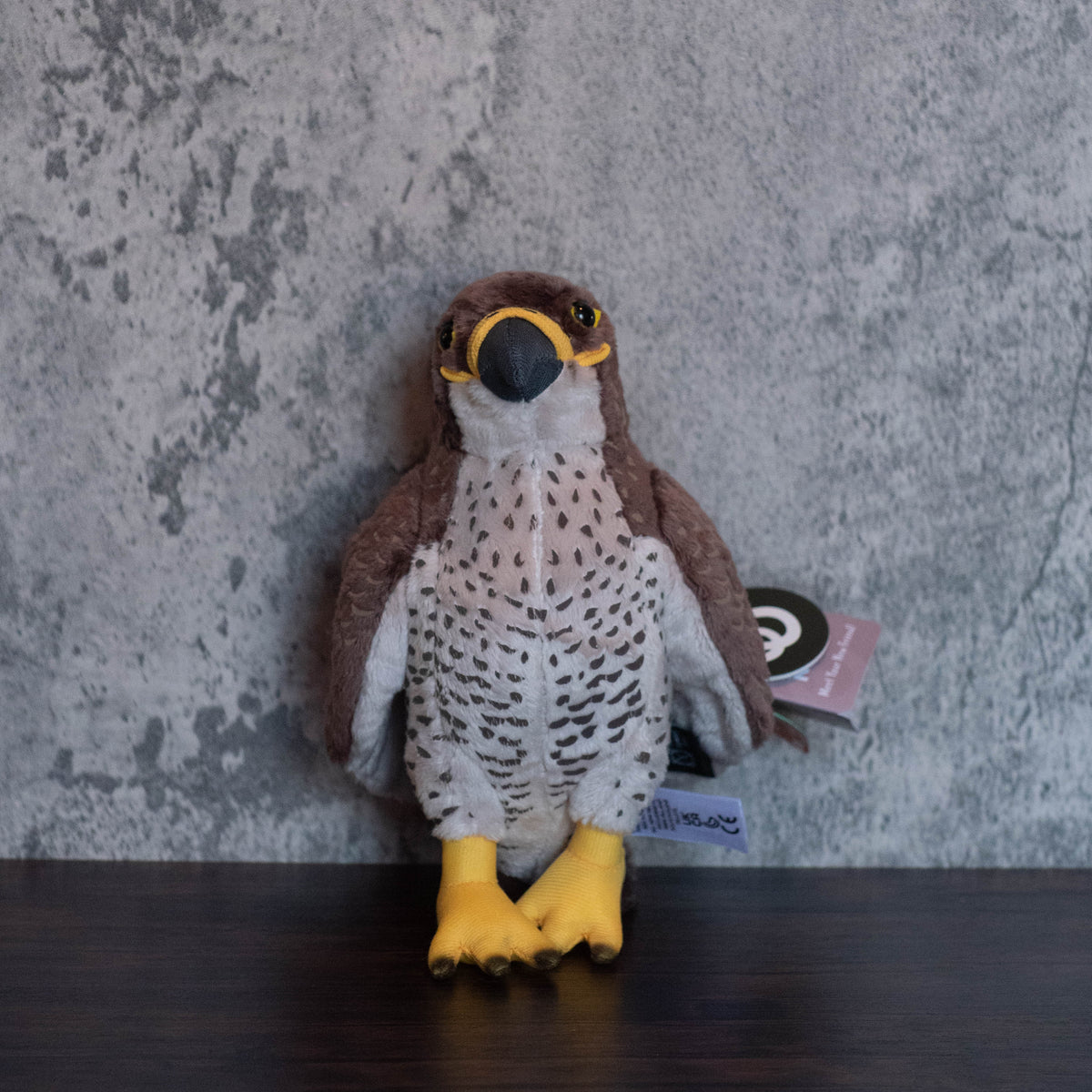 Peregrine Falcon Stuffed Animal – Lost Appalachia Trading Company