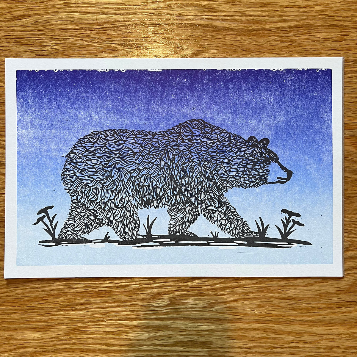 Roaming Bear - Base Camp Printing – Lost Appalachia Trading Company